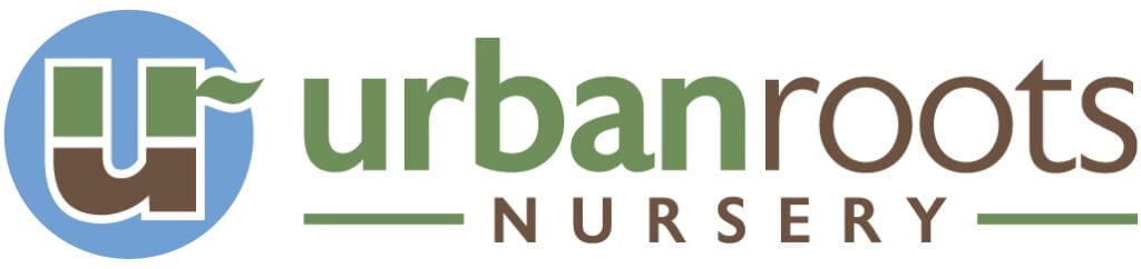 About Us - Urban Roots Nursery